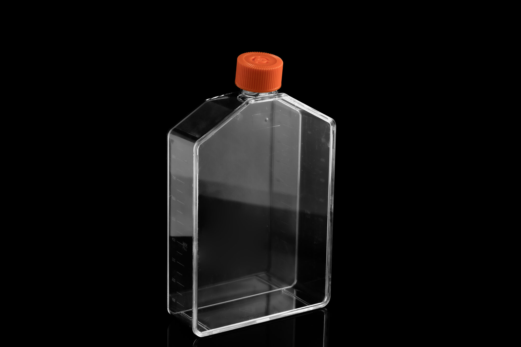 Cell Culture Flask - My WordPress Website