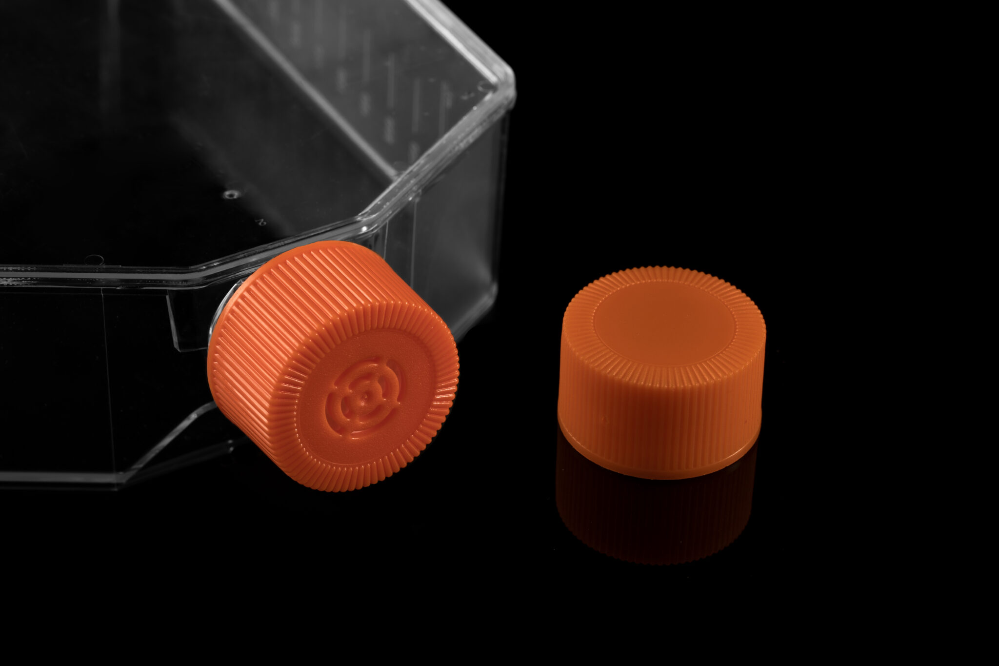 Cell Culture Flask - My WordPress Website