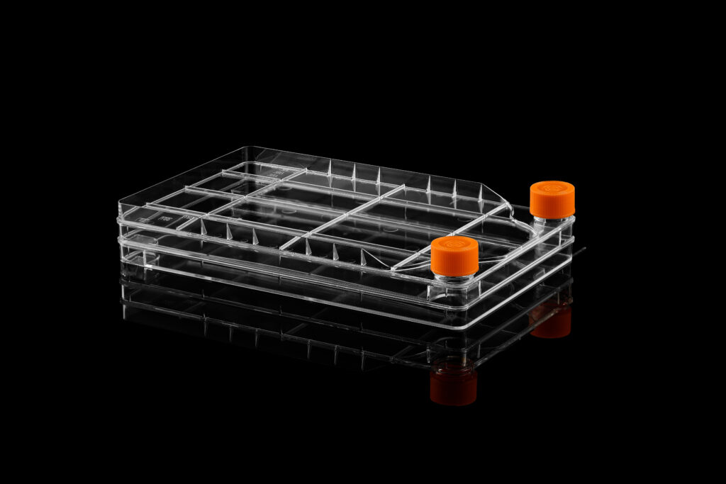 Cell Factory - My WordPress Website