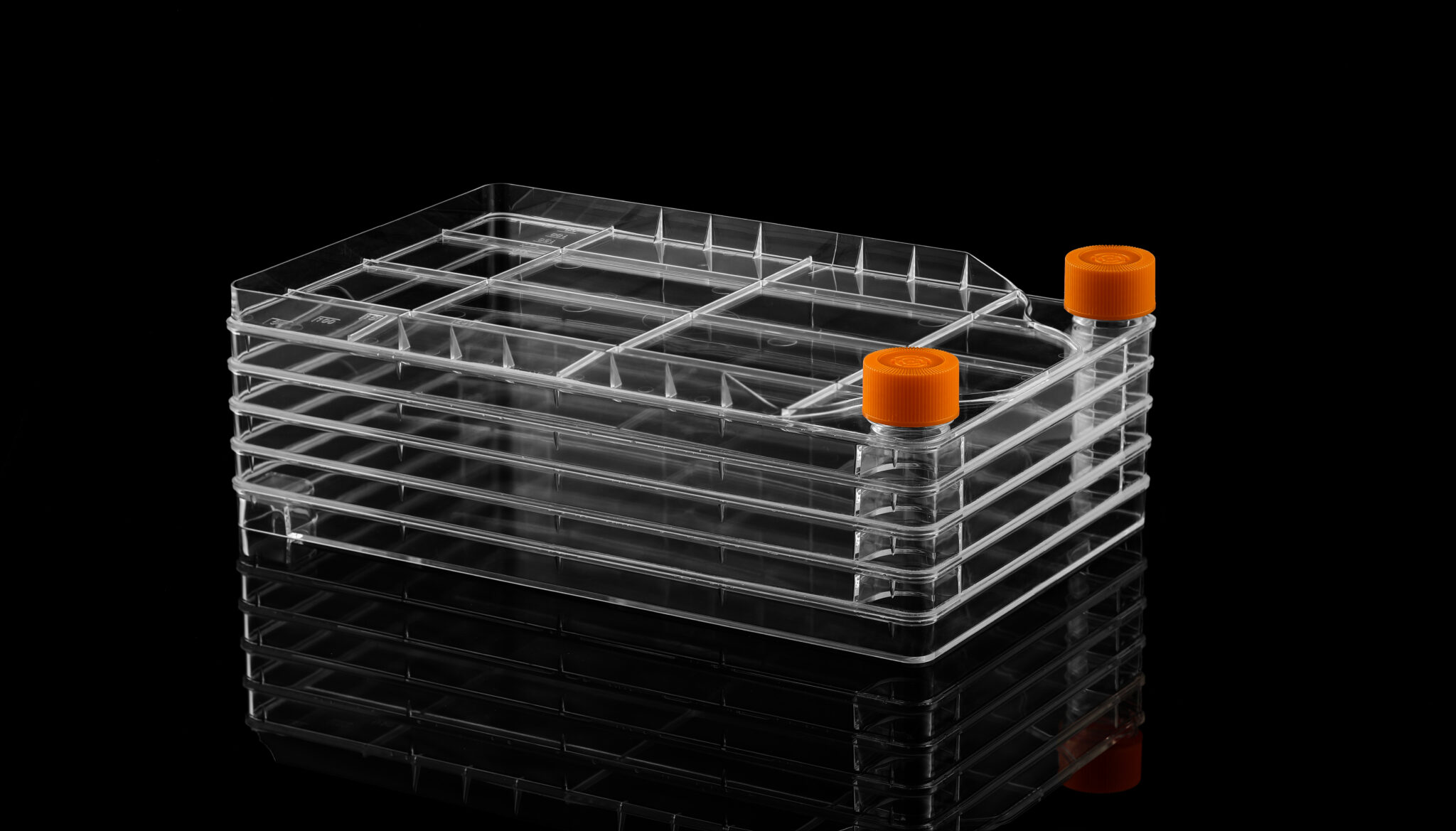 Cell Factory - My WordPress Website