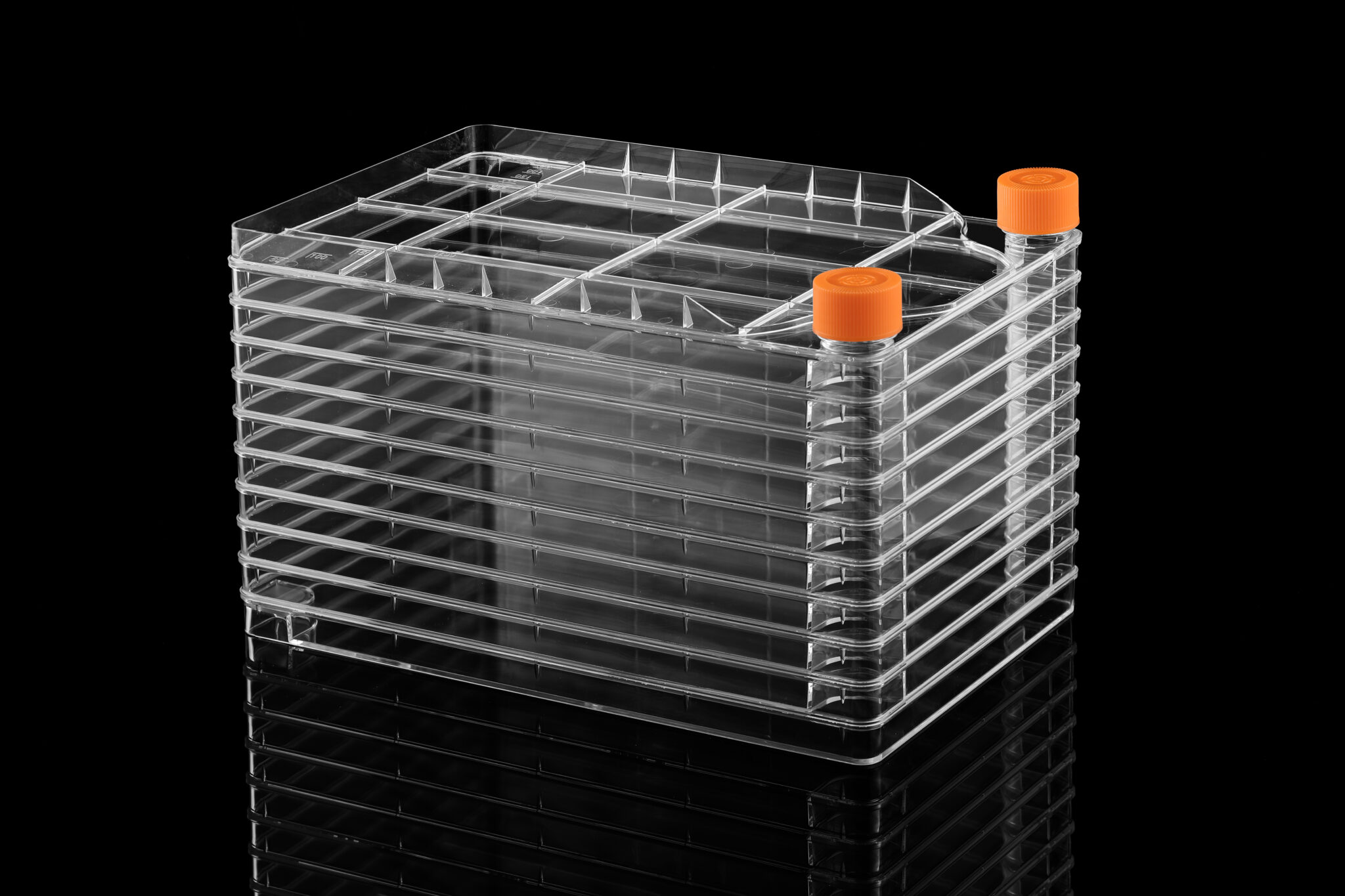 Cell Factory - My WordPress Website