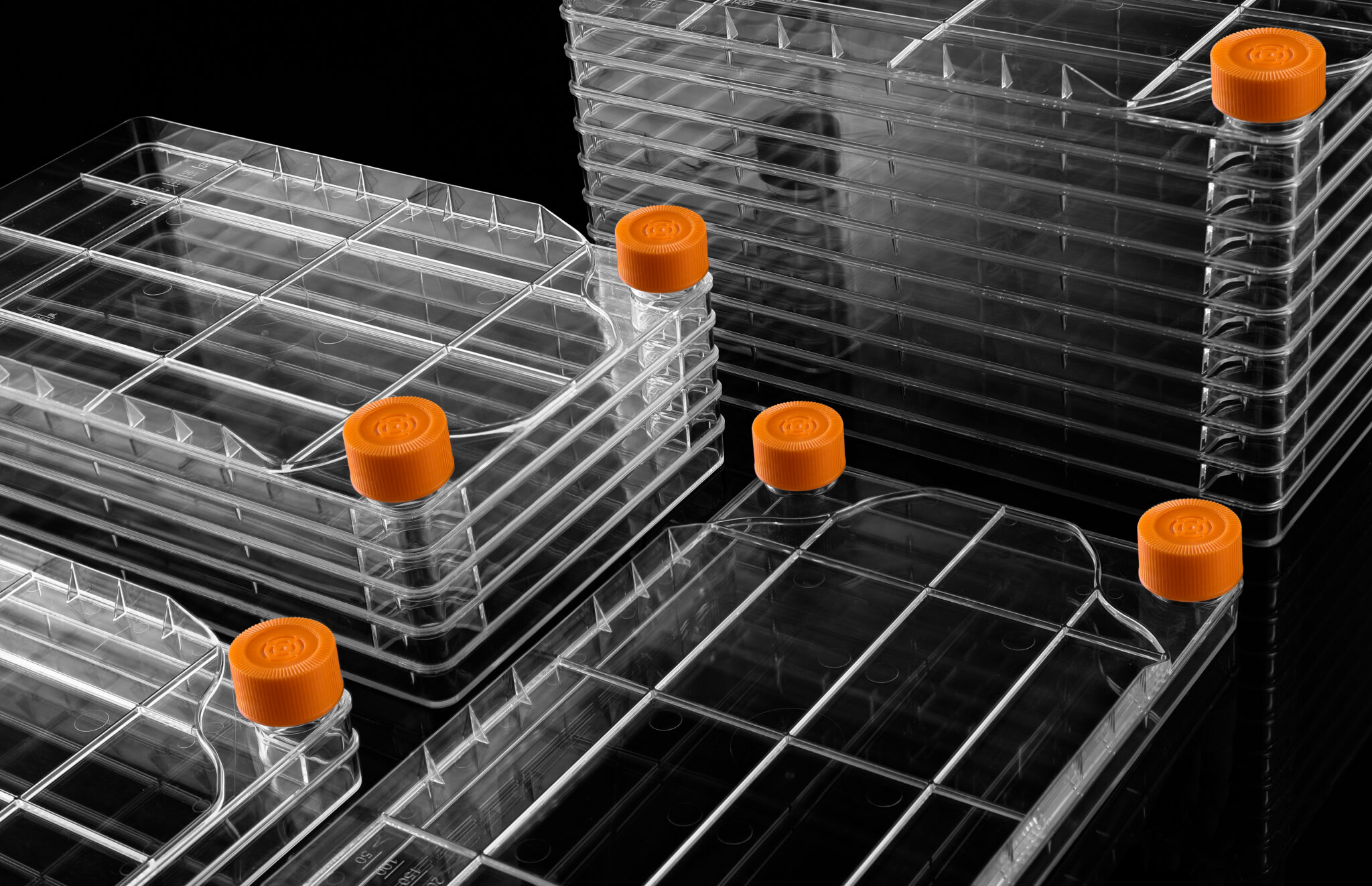 Cell Factory - My WordPress Website