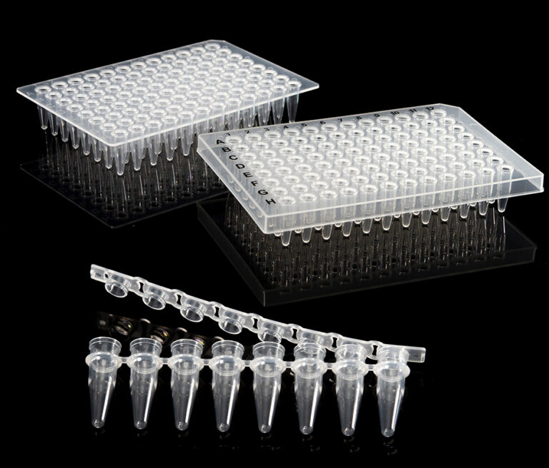 PCR Plate - My WordPress Website